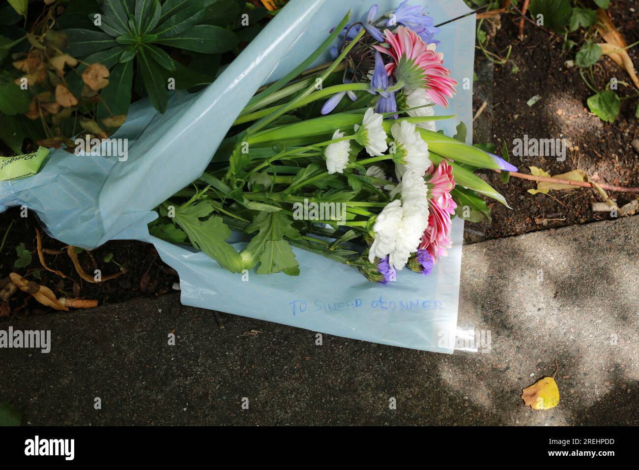 Portrait of sinead oconnor hi-res stock photography and images - Alamy