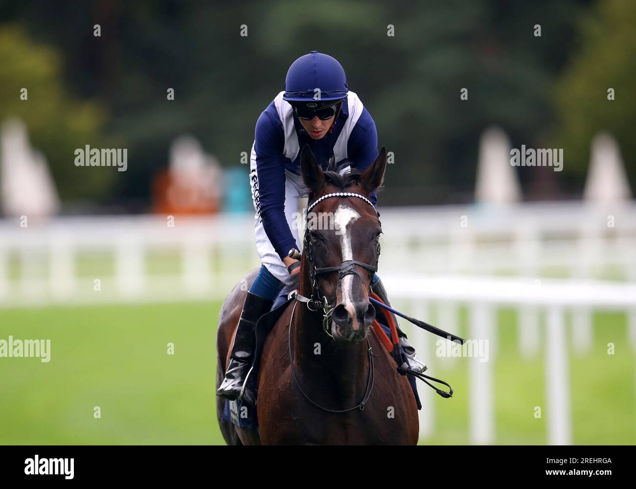 Alhambra Palace ridden by jockey David Probert after winning the ...