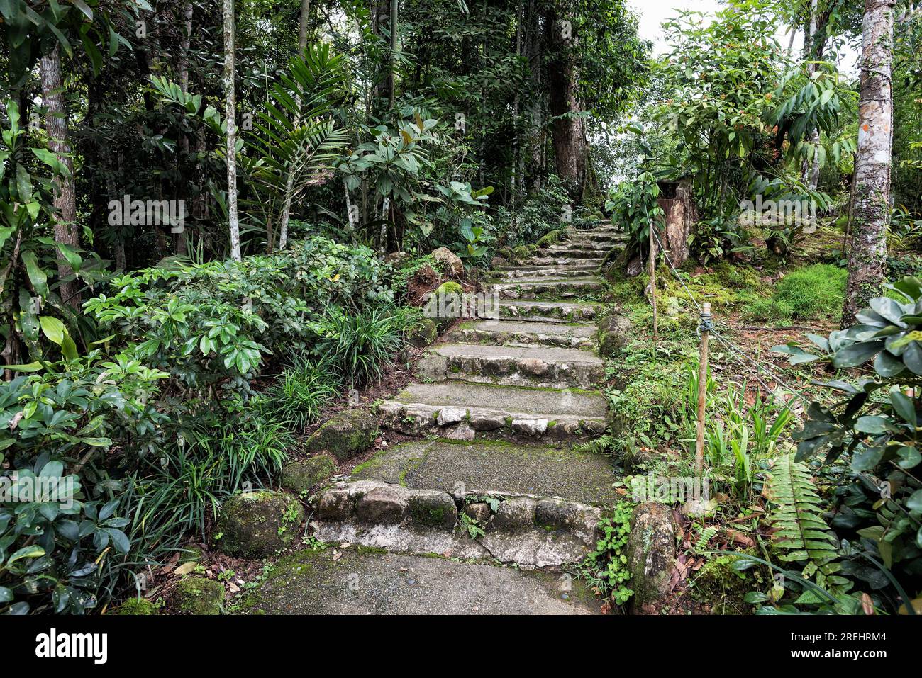 Famous Botanical Japanese Village in tropical rainforest, Bukit Tinggi ...