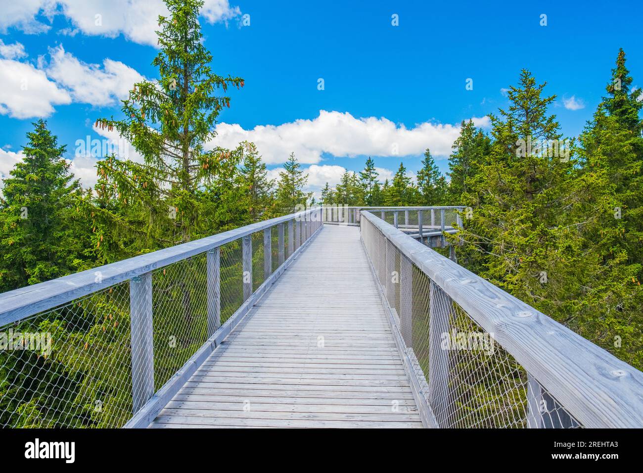 Canopy walkway architecture hi-res stock photography and images - Alamy