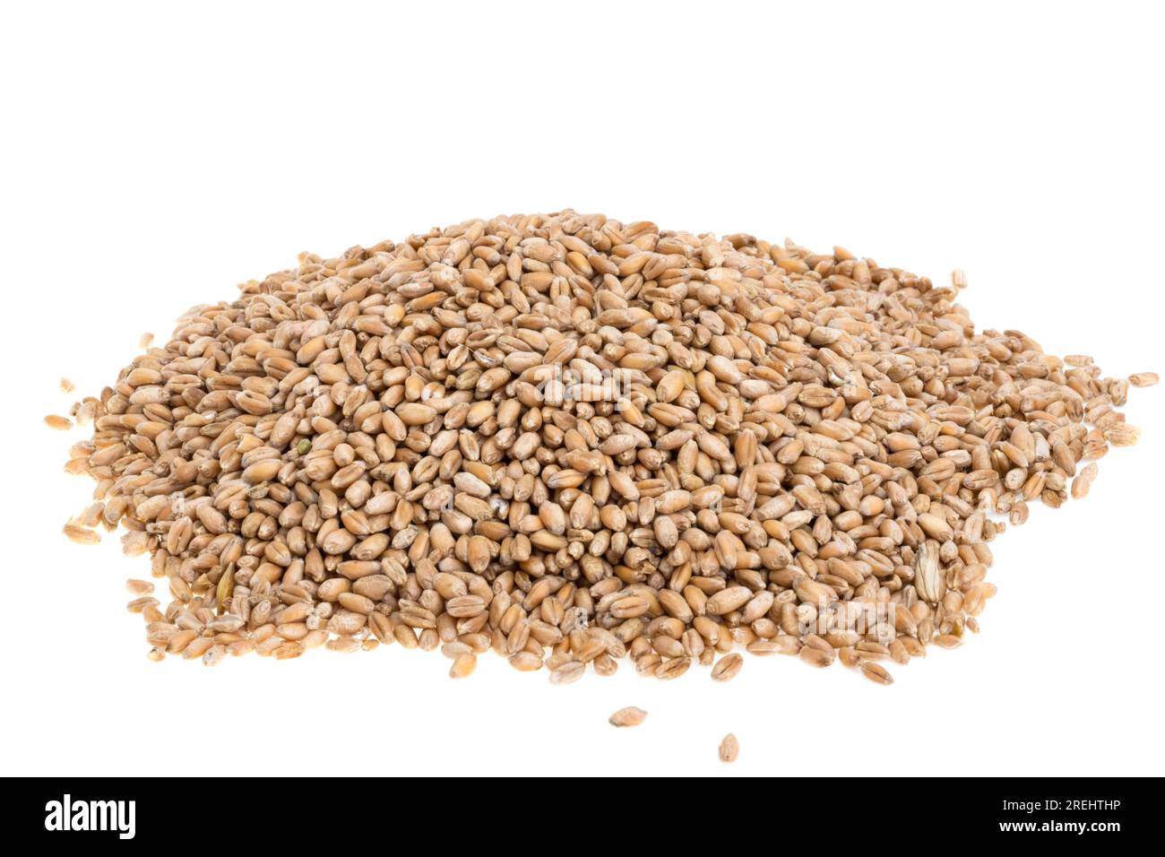 wheat isolated on white background Stock Photo - Alamy