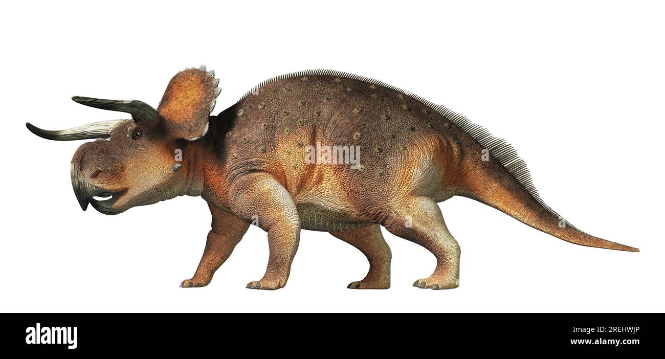 Nasutoceratops was a ceratopsian dinosaur of the late cretaceous period ...
