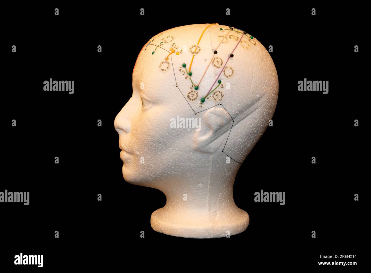 Acupuncture study of the left of the head with black background Stock ...