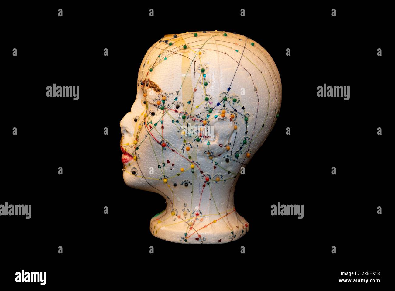Acupuncture study of the left of the head with black background Stock ...