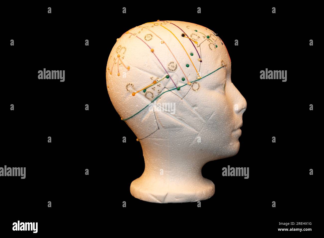 Acupuncture study of the right of the head with black background Stock ...