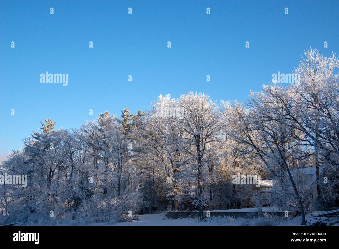Path in treetops hi-res stock photography and images - Alamy