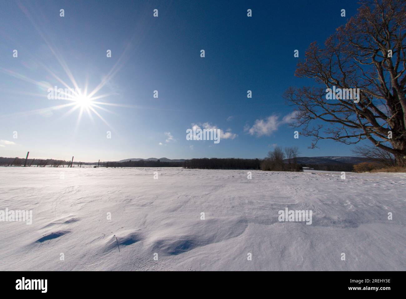 Winter scene during freezing weather Stock Photo - Alamy