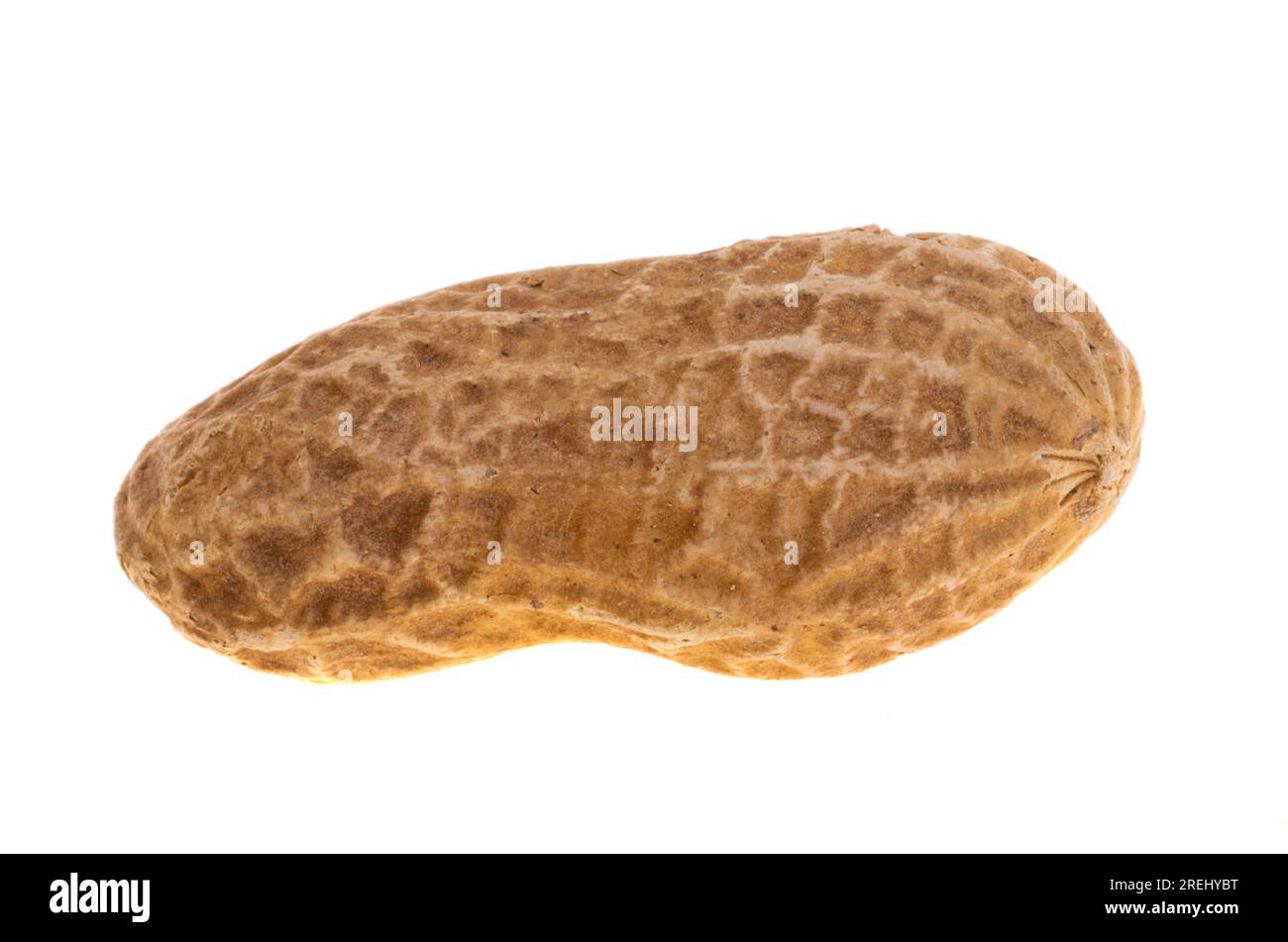 peanut in shell isolated on white background Stock Photo - Alamy