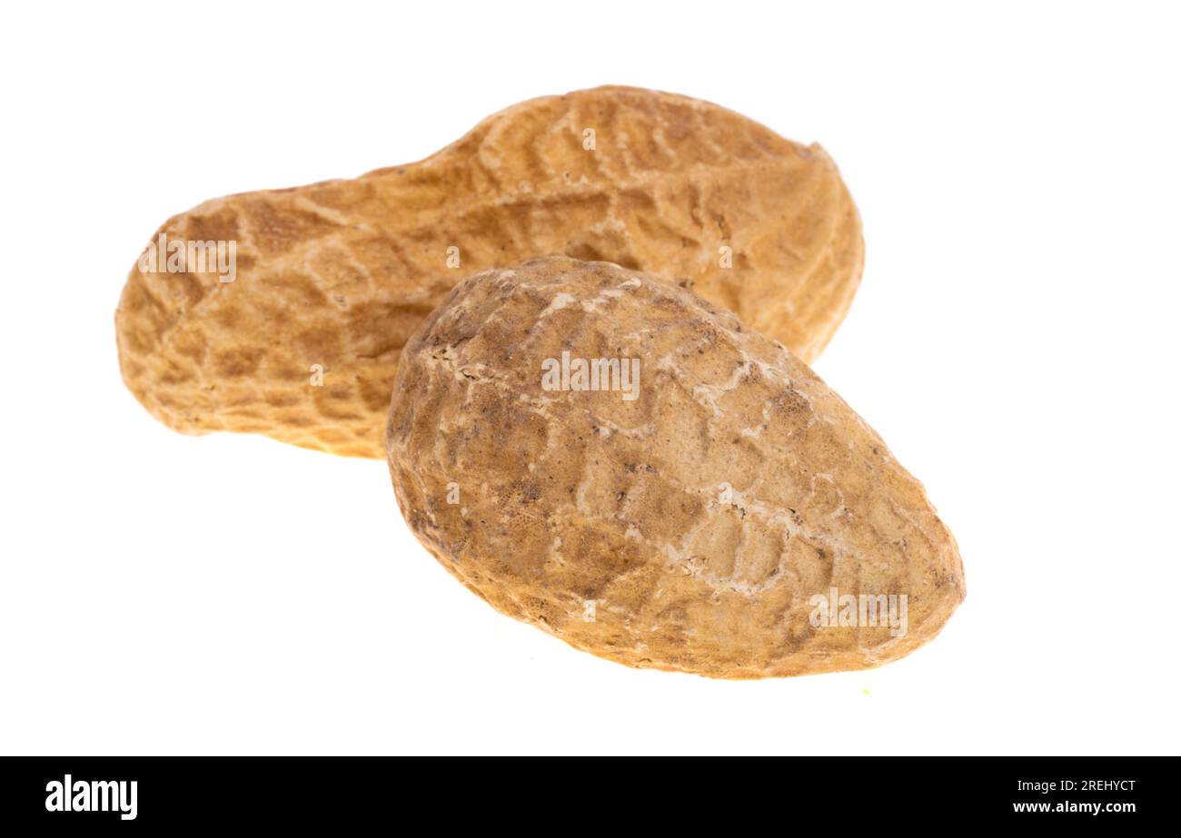 peanut in shell isolated on white background Stock Photo - Alamy