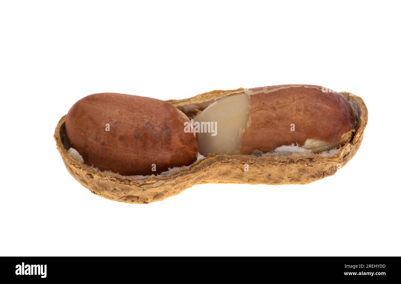 peanut in shell isolated on white background Stock Photo - Alamy