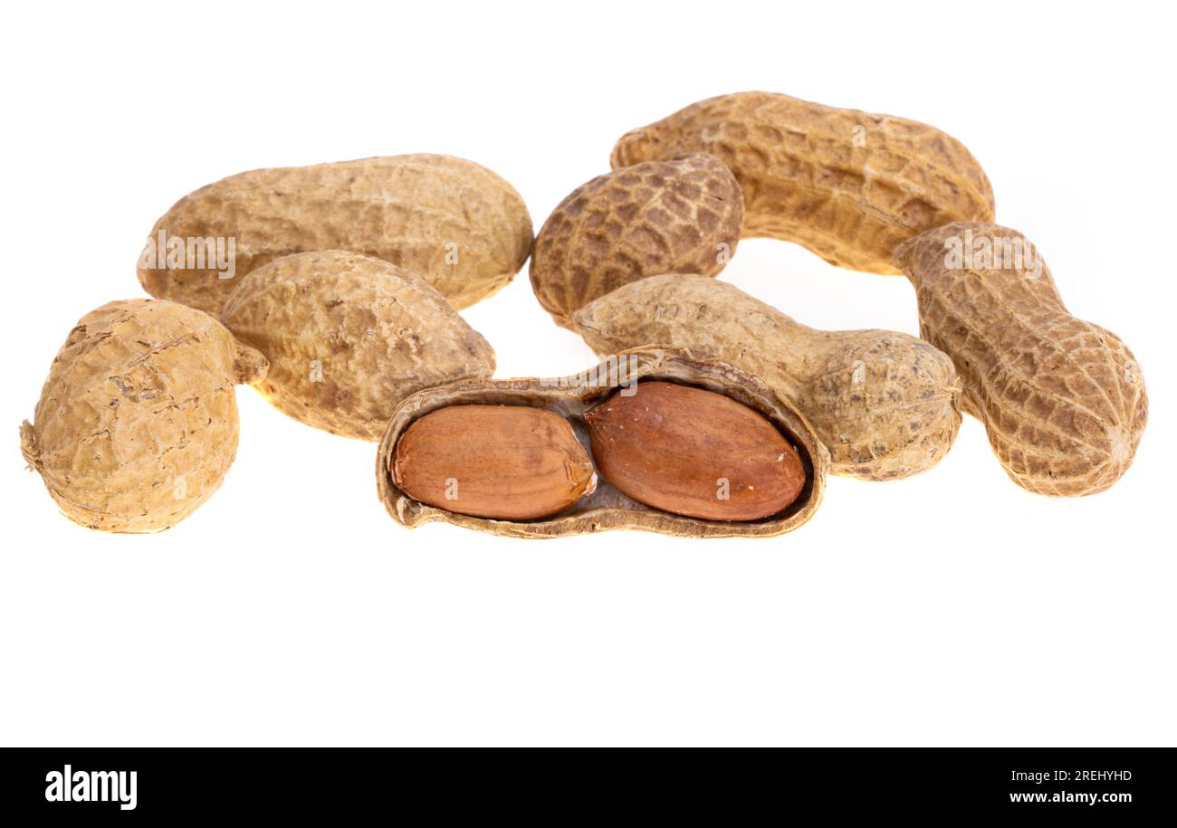 peanut in shell isolated on white background Stock Photo - Alamy