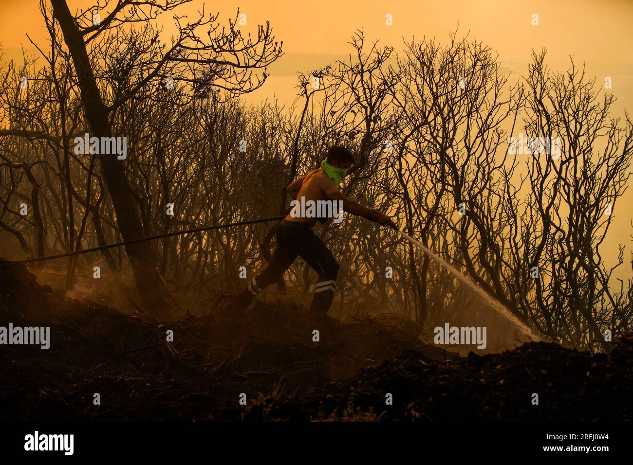 A Turkish firefighter works to extinguish a forest wildfire in Beykoz ...