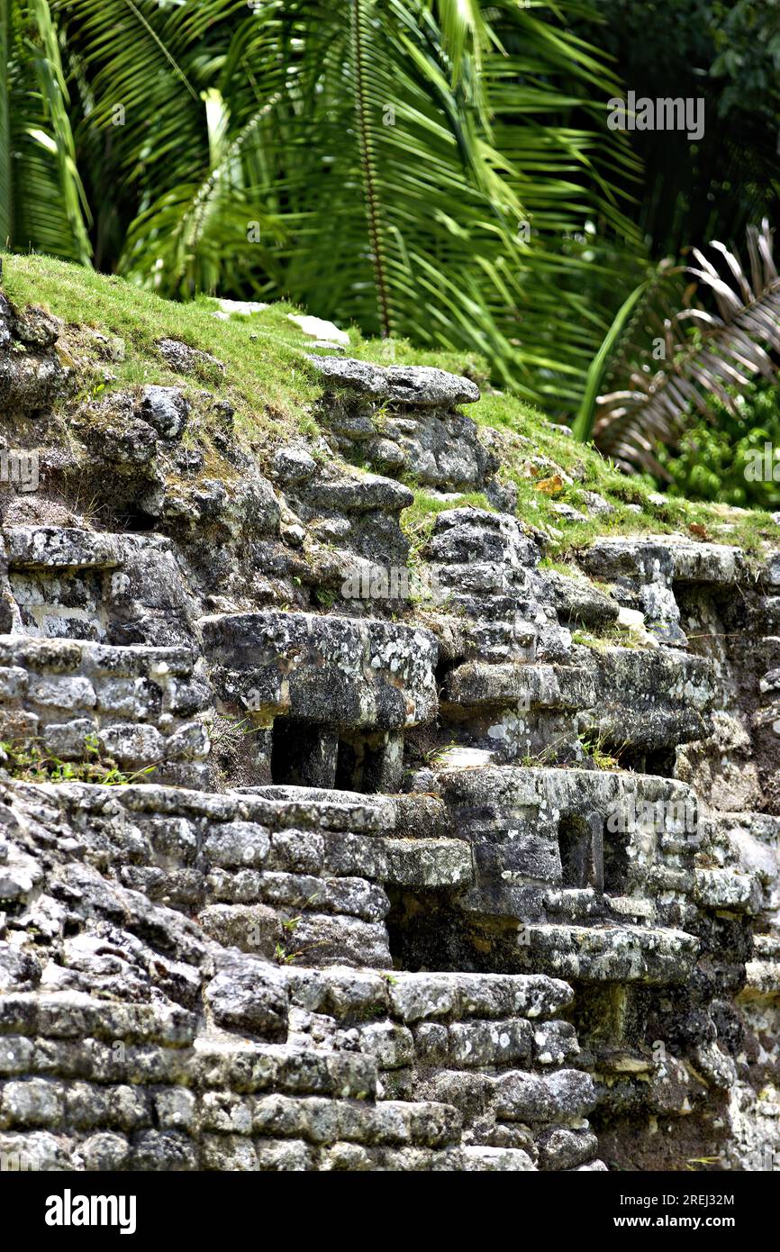Lamanai Mayan Ruins, Belize Stock Photo - Alamy