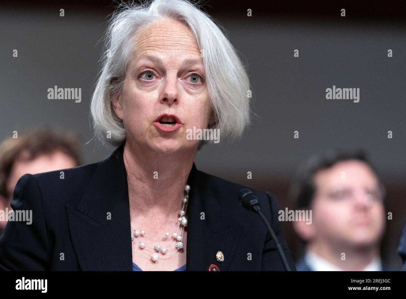 Senate Sergeant at Arms Karen Gibson testifies before the House ...