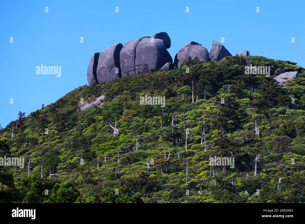 A picture shows Tofu Rock in Yakushima, Kagoshima prefecture on May 27 ...