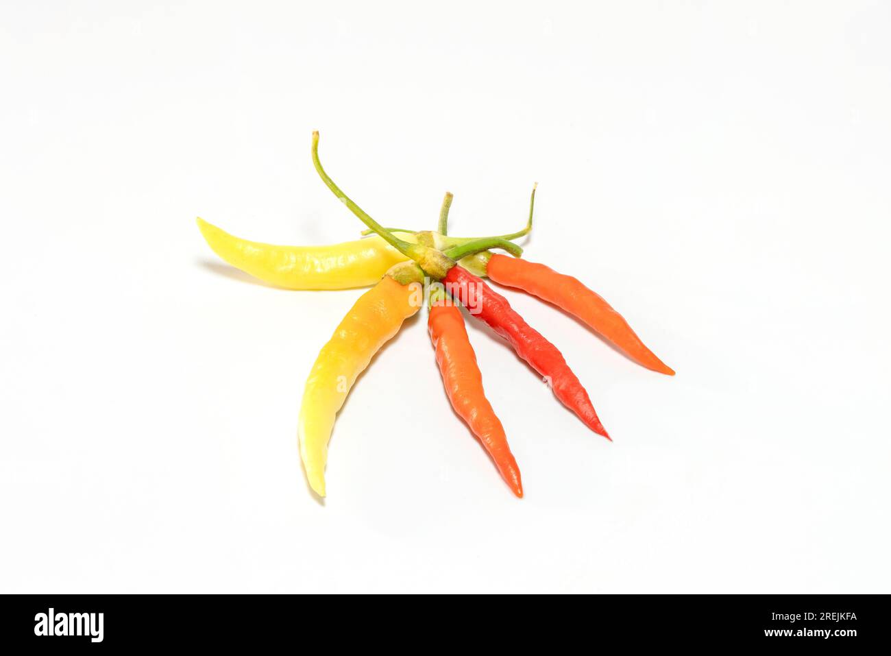Chilli peppers red, yellow isolated on white background Stock Photo - Alamy