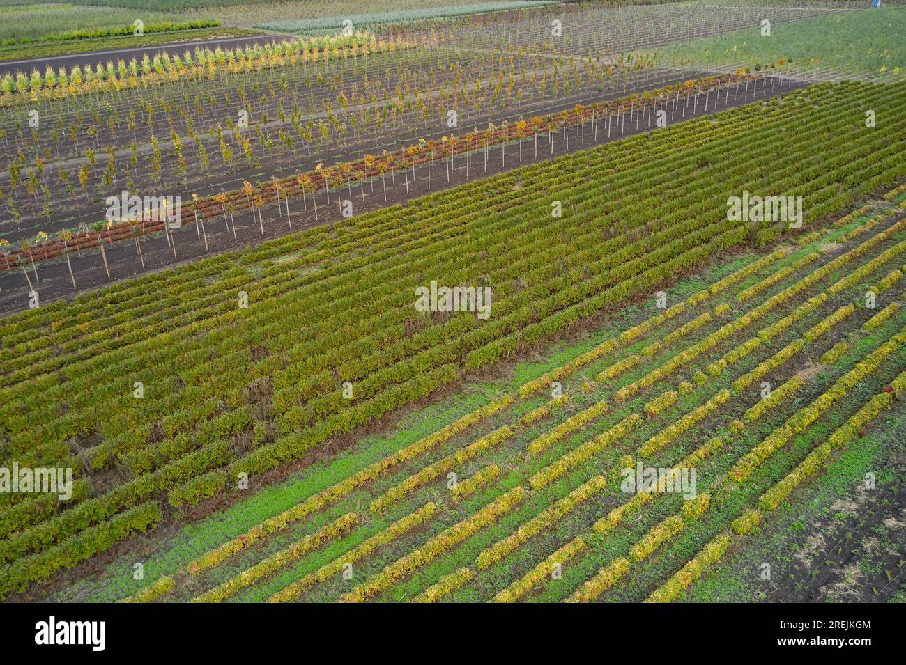 Aerial view of nursery with trees and plants for sale Stock Photo - Alamy
