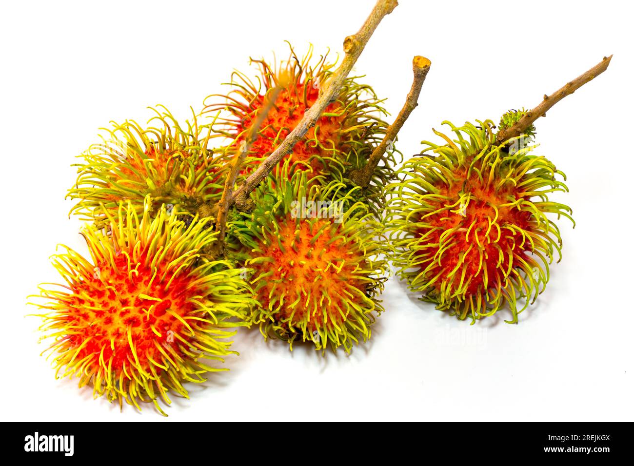 rambutan sweet delicious fruit isolated on white background. Sweet ...