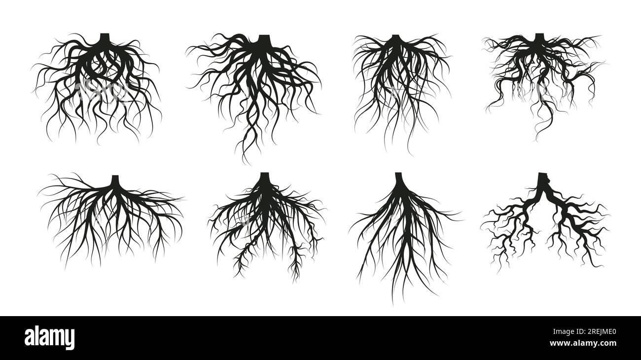 Tree root system, underground growing plants stems. Vector of ...