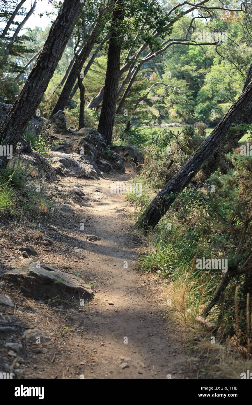 Coastal footpath (sentier cotier) called GR34 along the Ruisseau du ...