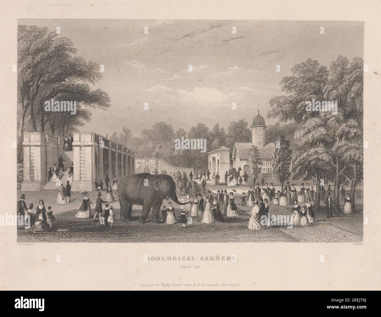 Zoological gardens regent's park hi-res stock photography and images ...