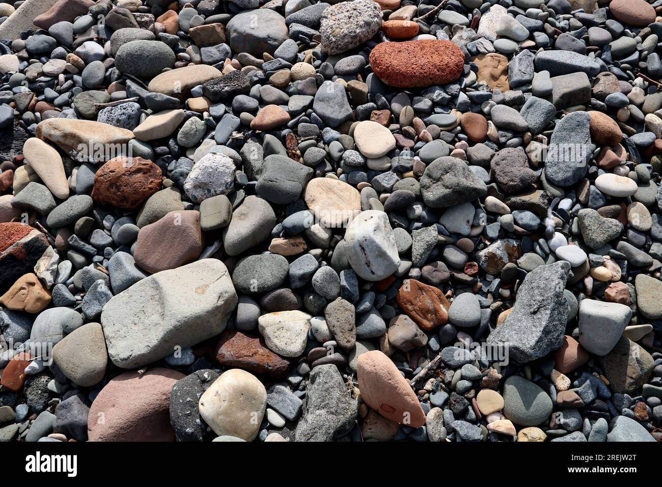 Closeup view of pebbles and stones on a coastal pebble beach Stock ...