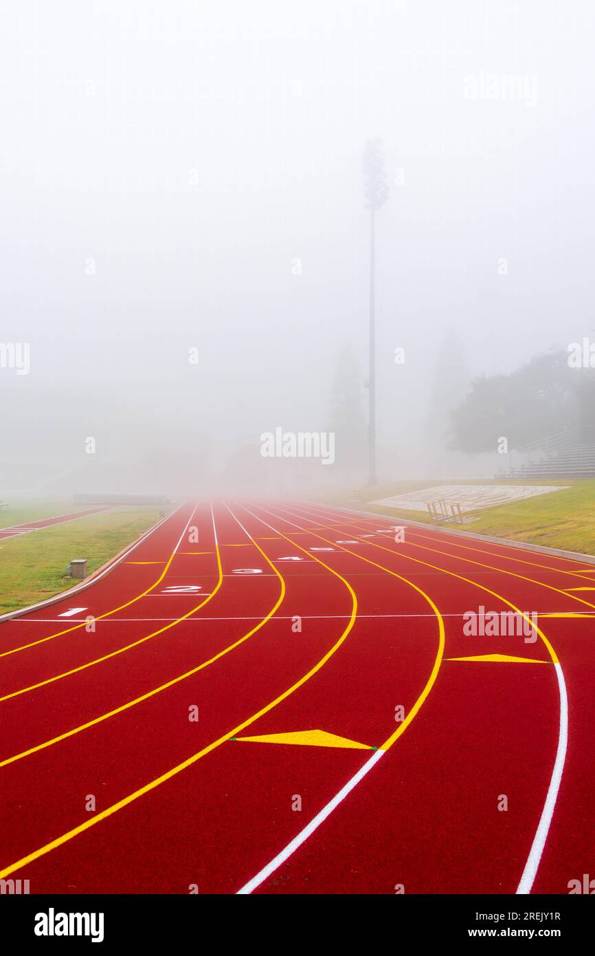 Sometimes, the sun shines. Sometimes, clouds weep. Then there is fog ...