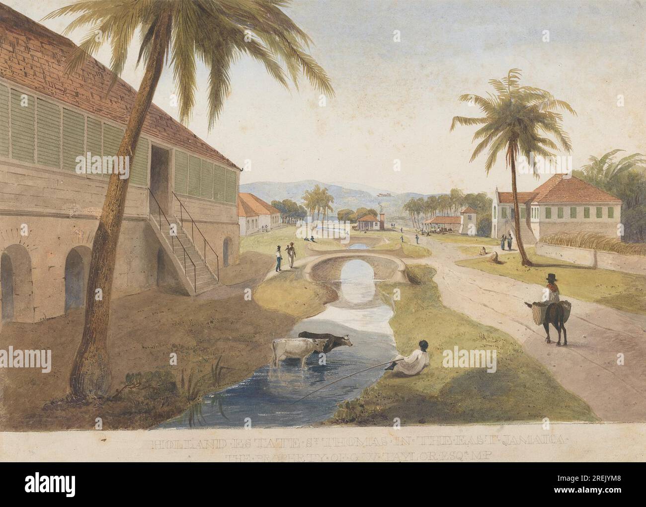 Holland Estate, St. Thomas in the East, Jamaica between 1820 and 1821 ...