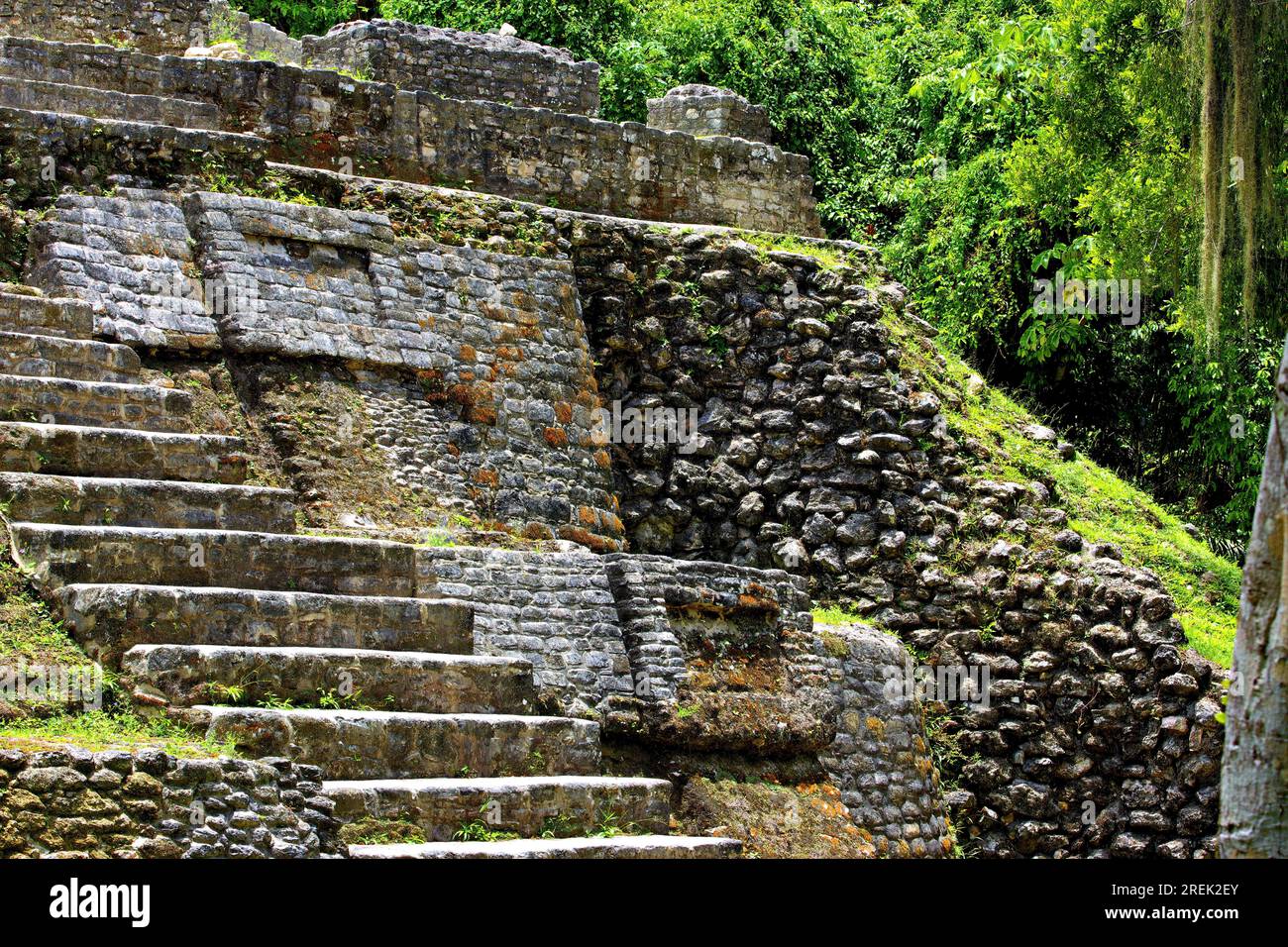 Lamanai Mayan Ruins Stock Photo - Alamy
