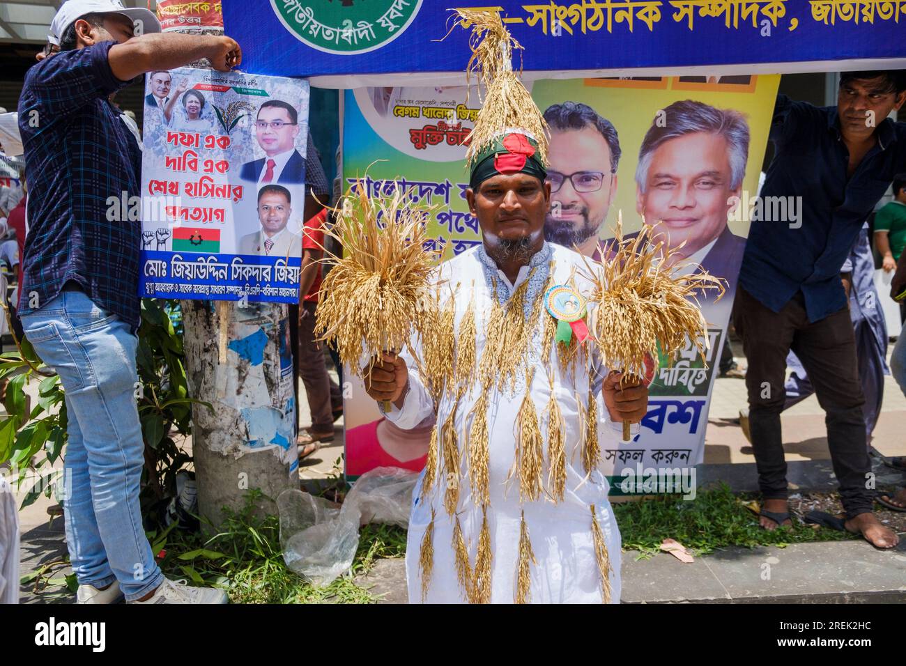 Sheaf of paddy hi-res stock photography and images - Alamy
