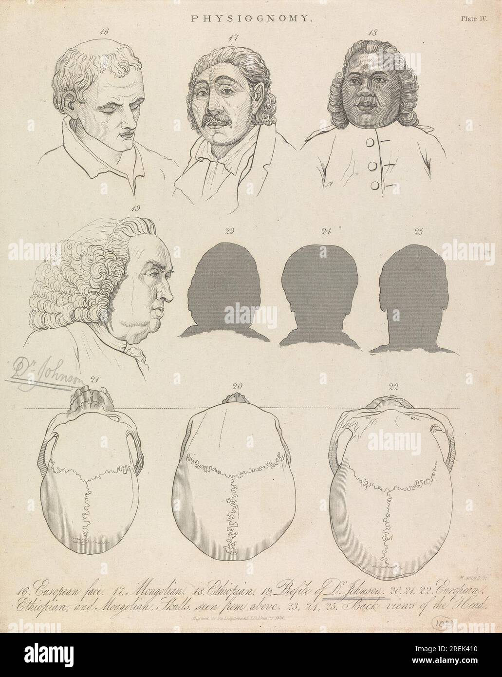 Physiognomy engraving hi-res stock photography and images - Alamy