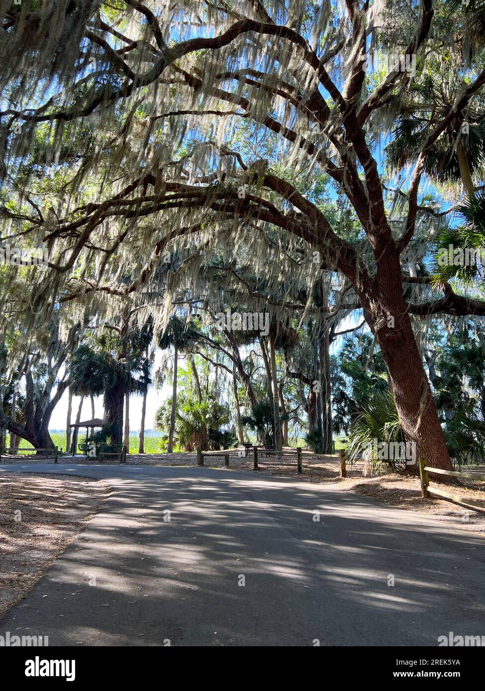 The path to the lake at Trimble Park in Mount Dora, Florida on a sunny ...
