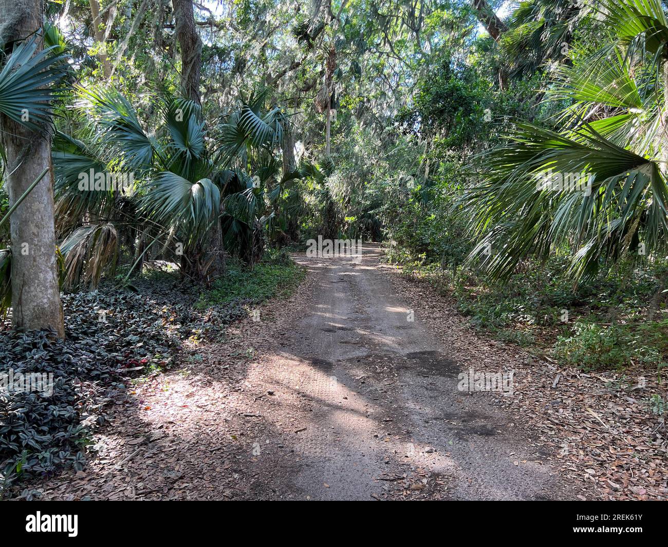 The walking trail in Trimble Park in Mount Dora, Florida on a sunny day ...