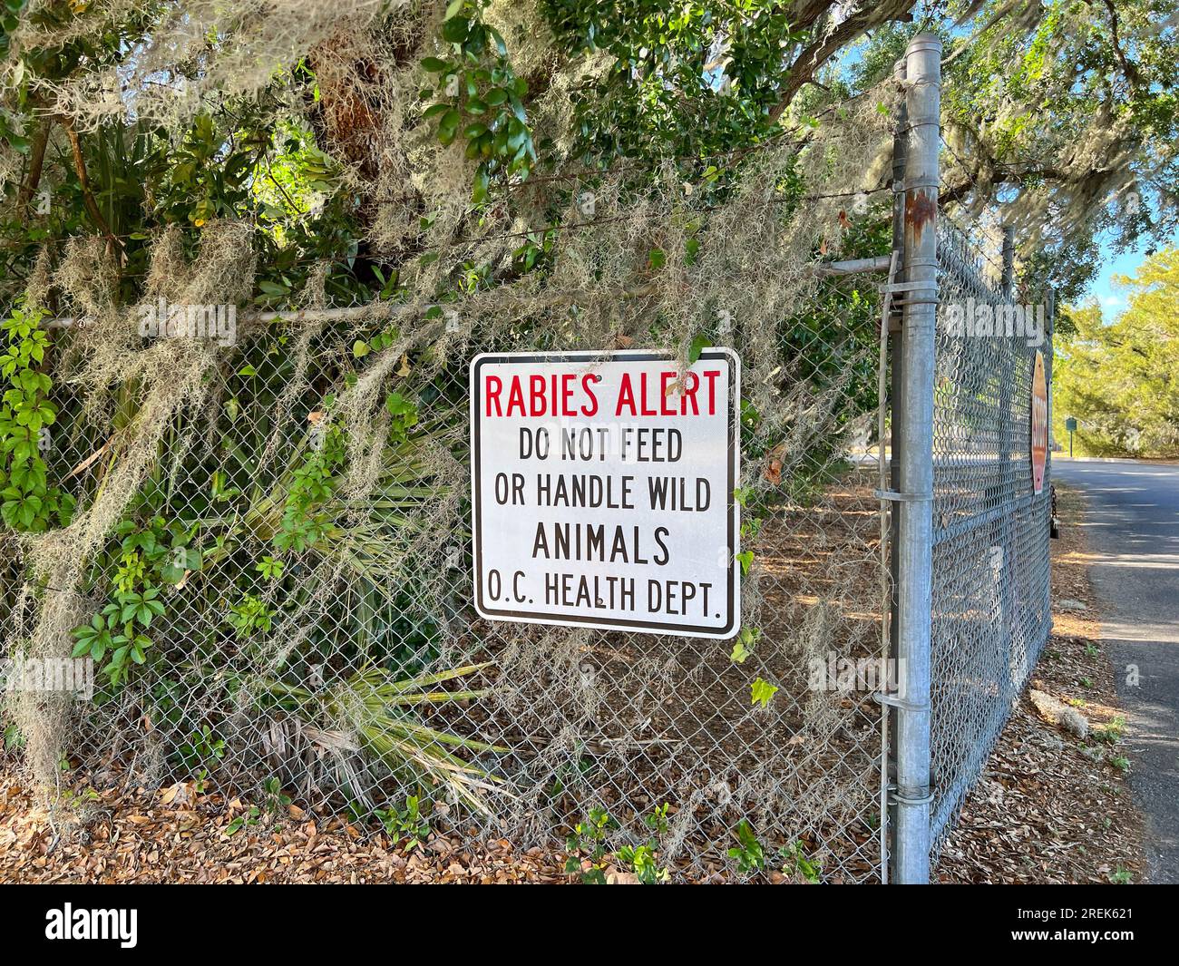 Mount Dora, FL USA - March 30, 2023: A Rabies Alert sign to not feed ...