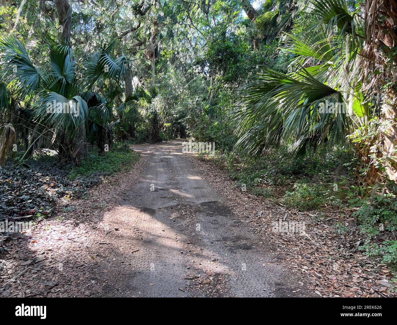 The walking trail in Trimble Park in Mount Dora, Florida on a sunny day ...