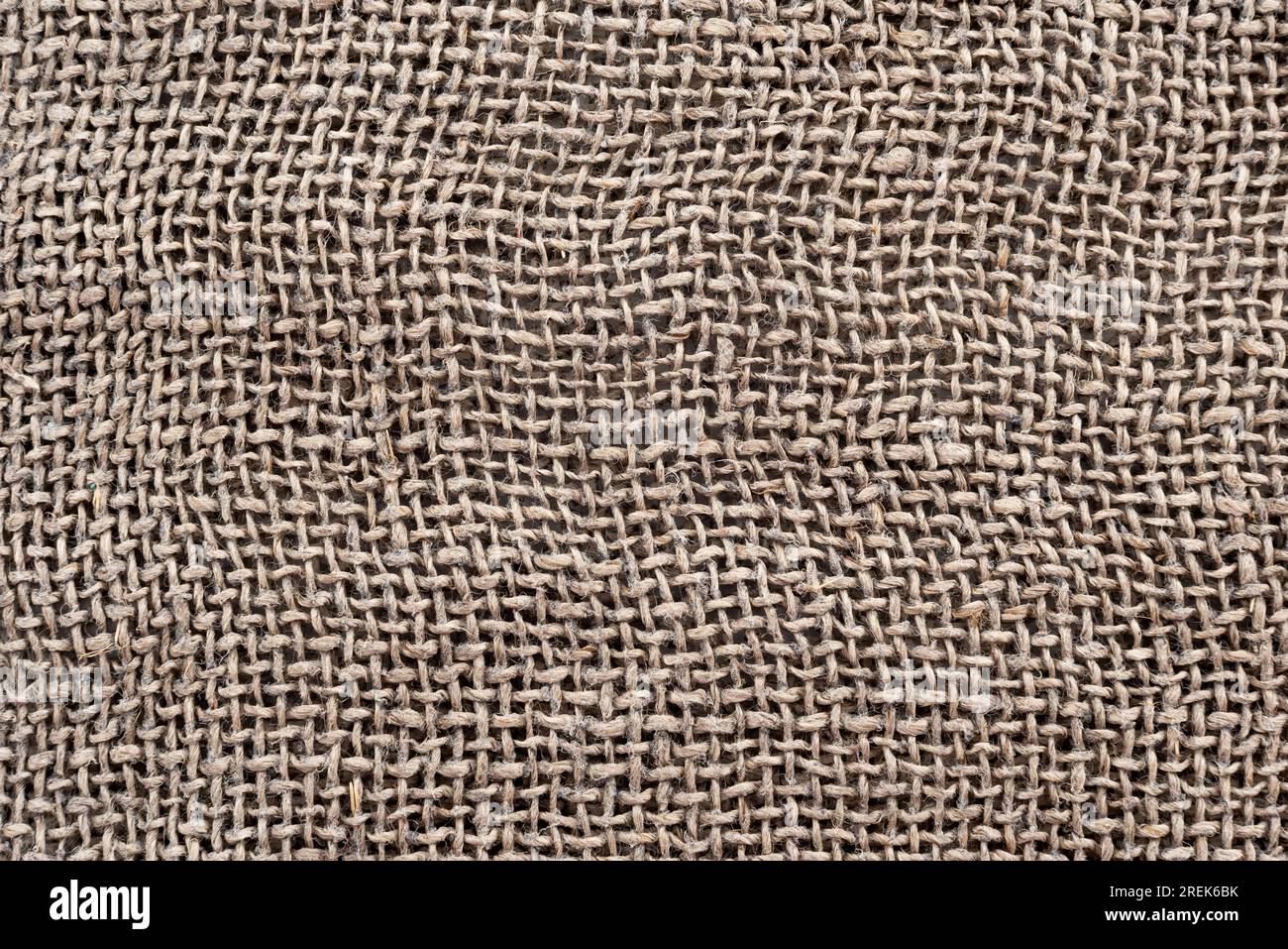 Burlap texture. A piece of torn burlap on a white background. Canvas ...