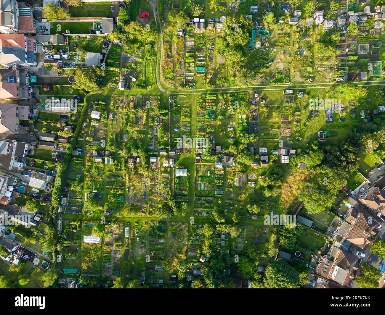 An aerial view of fruit and vegetable allotments in Ipswich, Suffolk ...