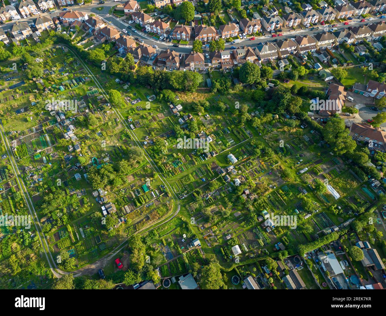 An aerial view of fruit and vegetable allotments in Ipswich, Suffolk ...