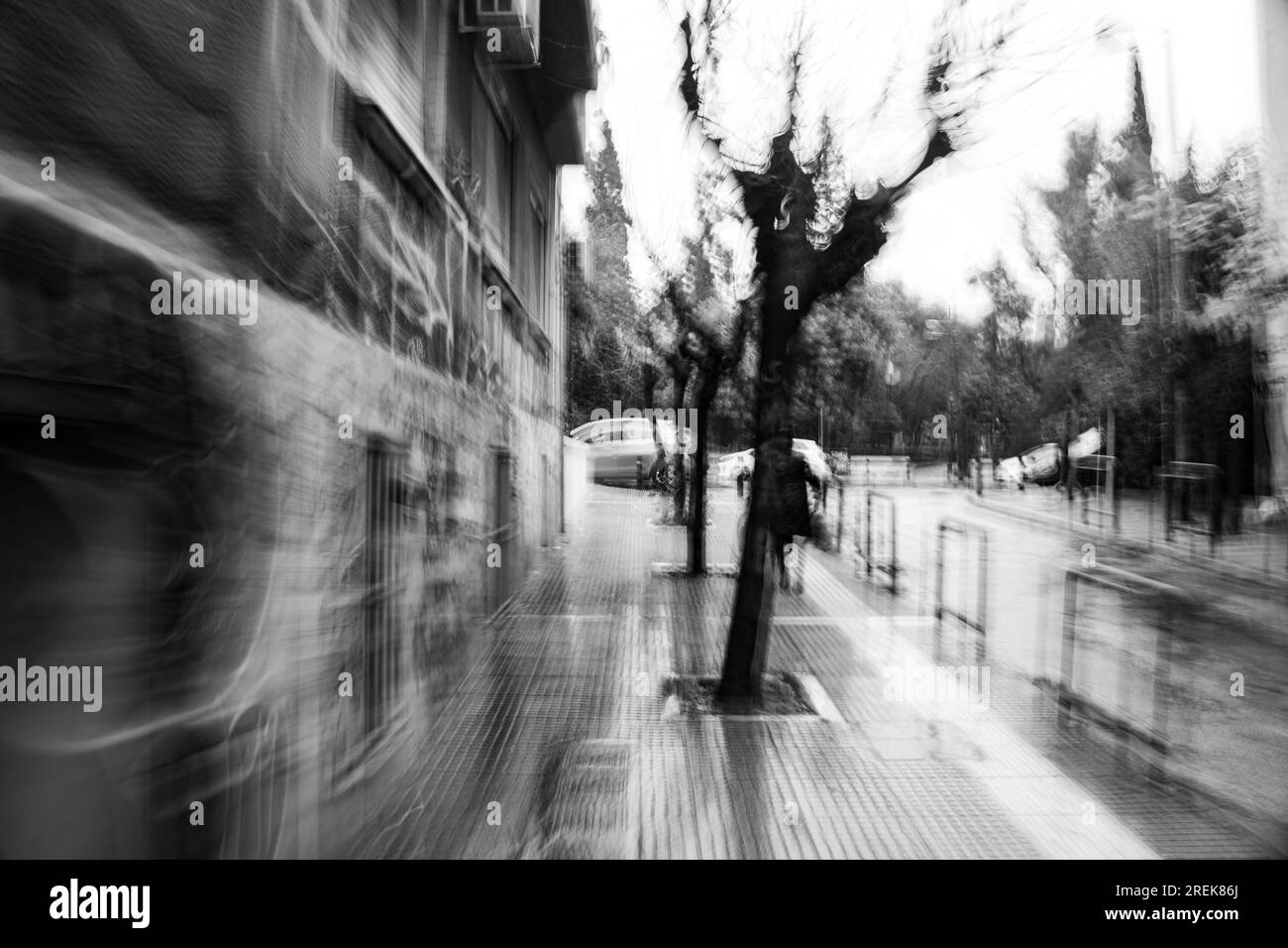 Out Of Focus Photography