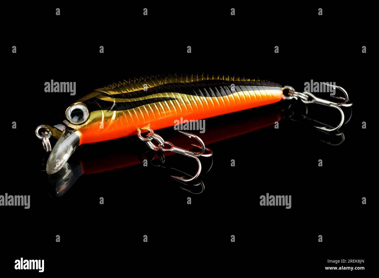 Freshwater minnow hi-res stock photography and images - Alamy