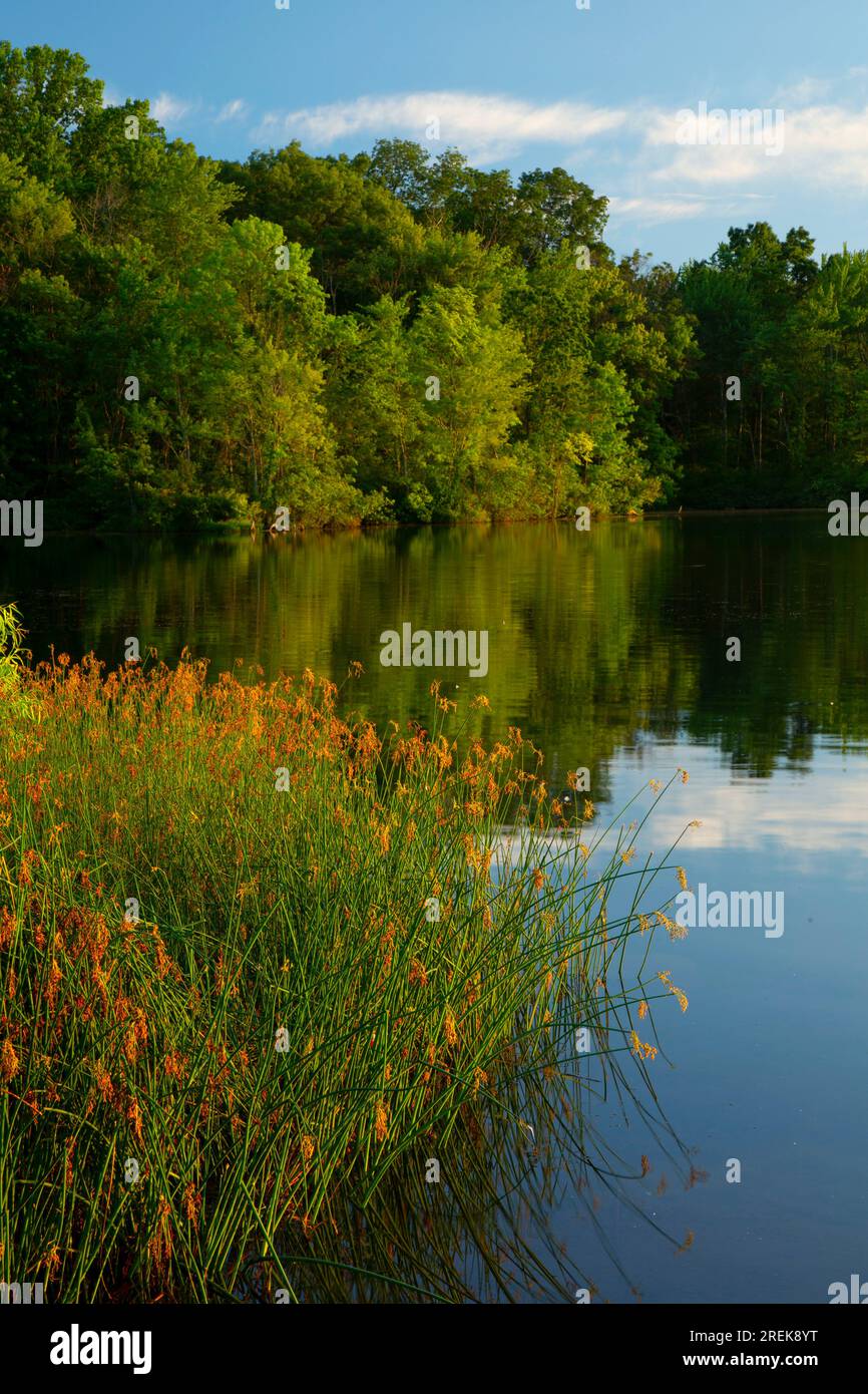 Batterson Park Pond, Batterson Park Pond State Boat Launch, New Britain ...