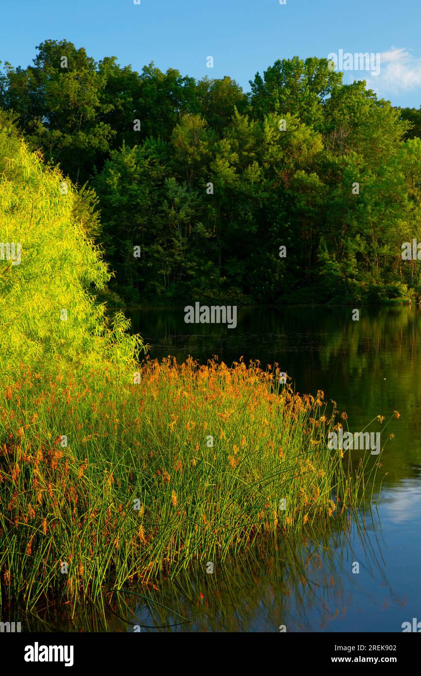 Batterson Park Pond, Batterson Park Pond State Boat Launch, New Britain ...