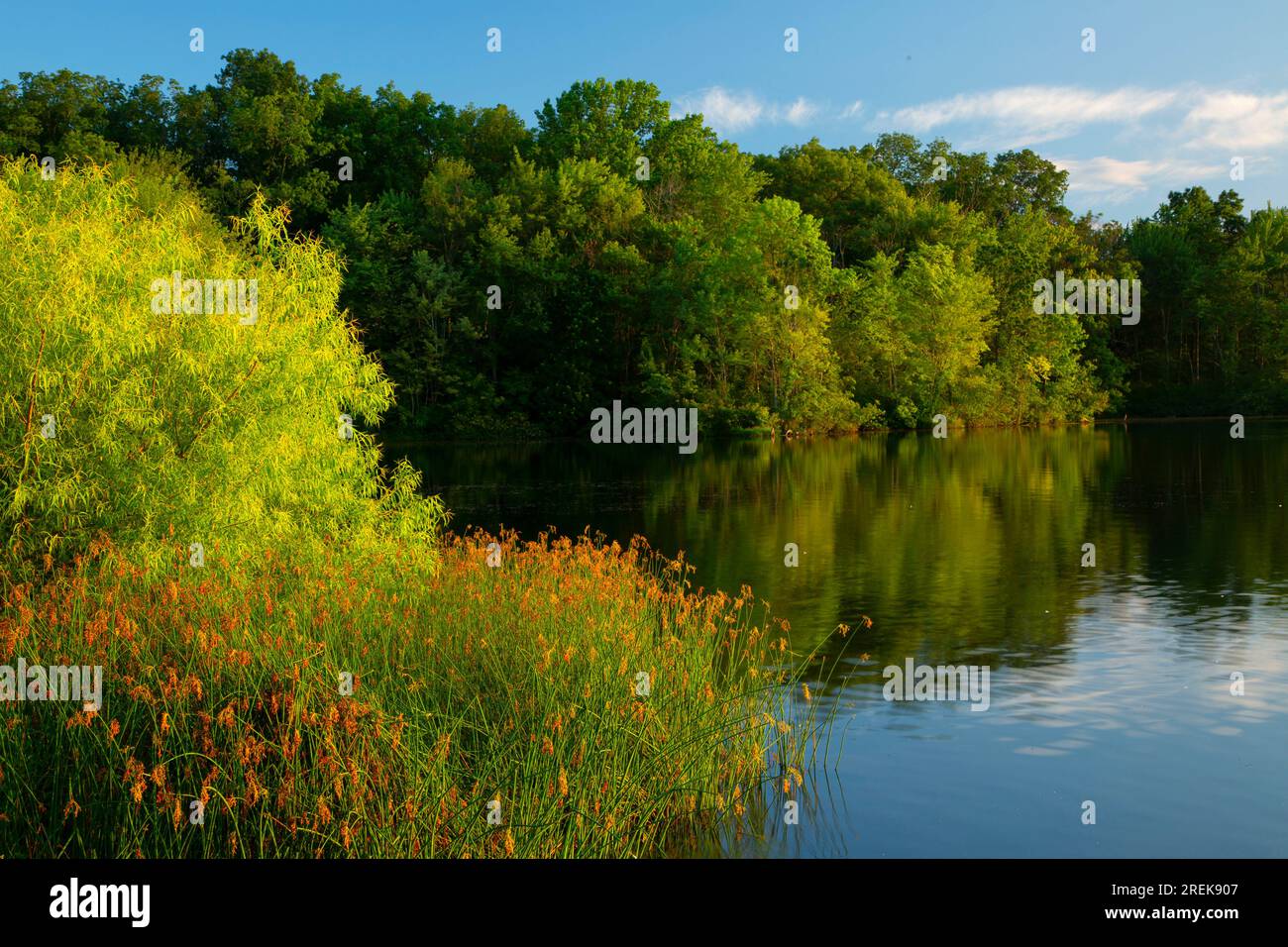 Batterson Park Pond, Batterson Park Pond State Boat Launch, New Britain ...
