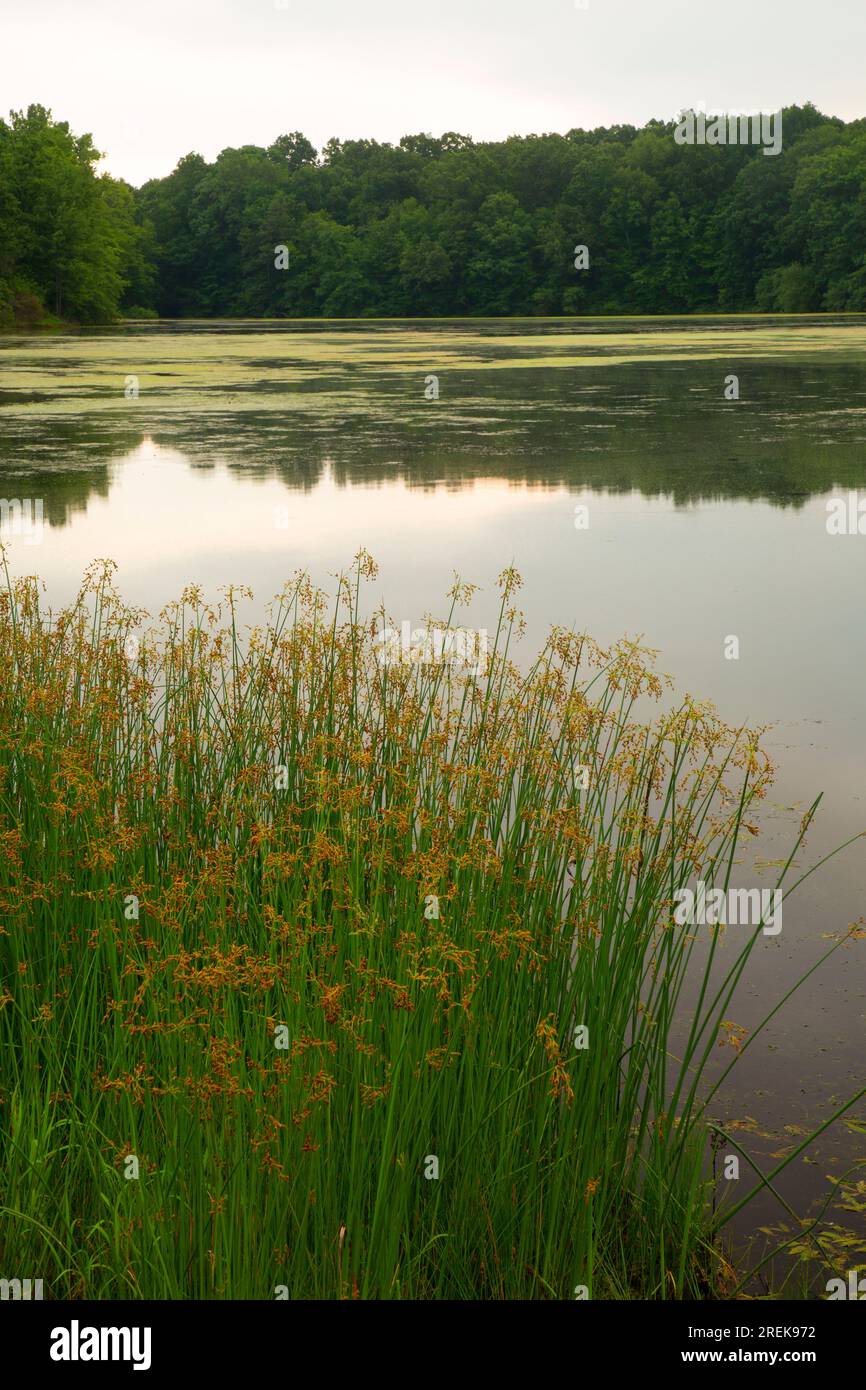 Lower Pond, AW Stanley Park, New Britain, Connecticut Stock Photo - Alamy