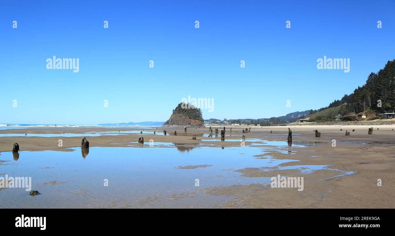 Along the Oregon Coast: Neskowin Ghost Forest on Neskowin Beach ...