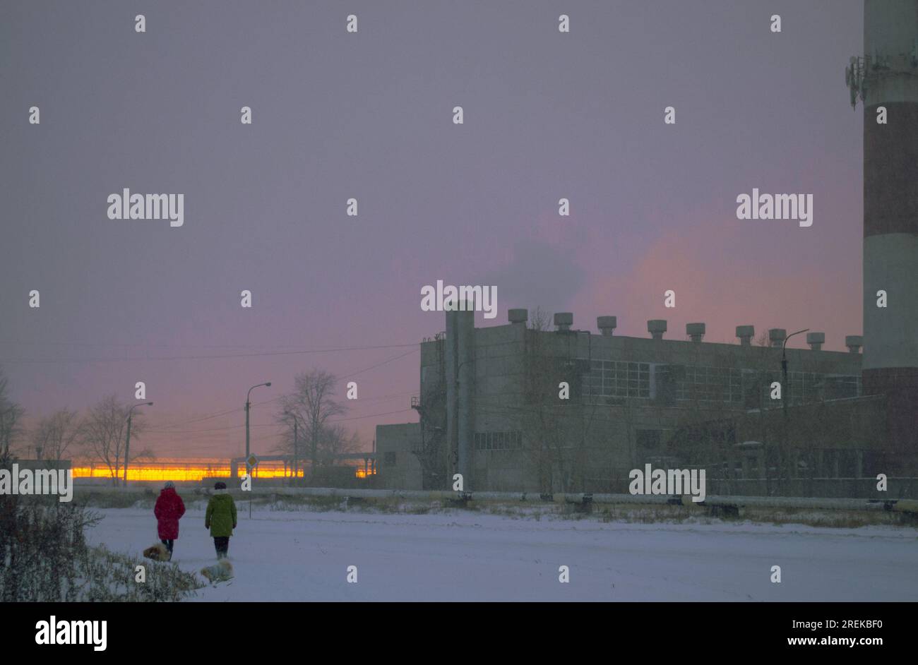 A woman in red and a woman in green are walking with the dogs in a ...