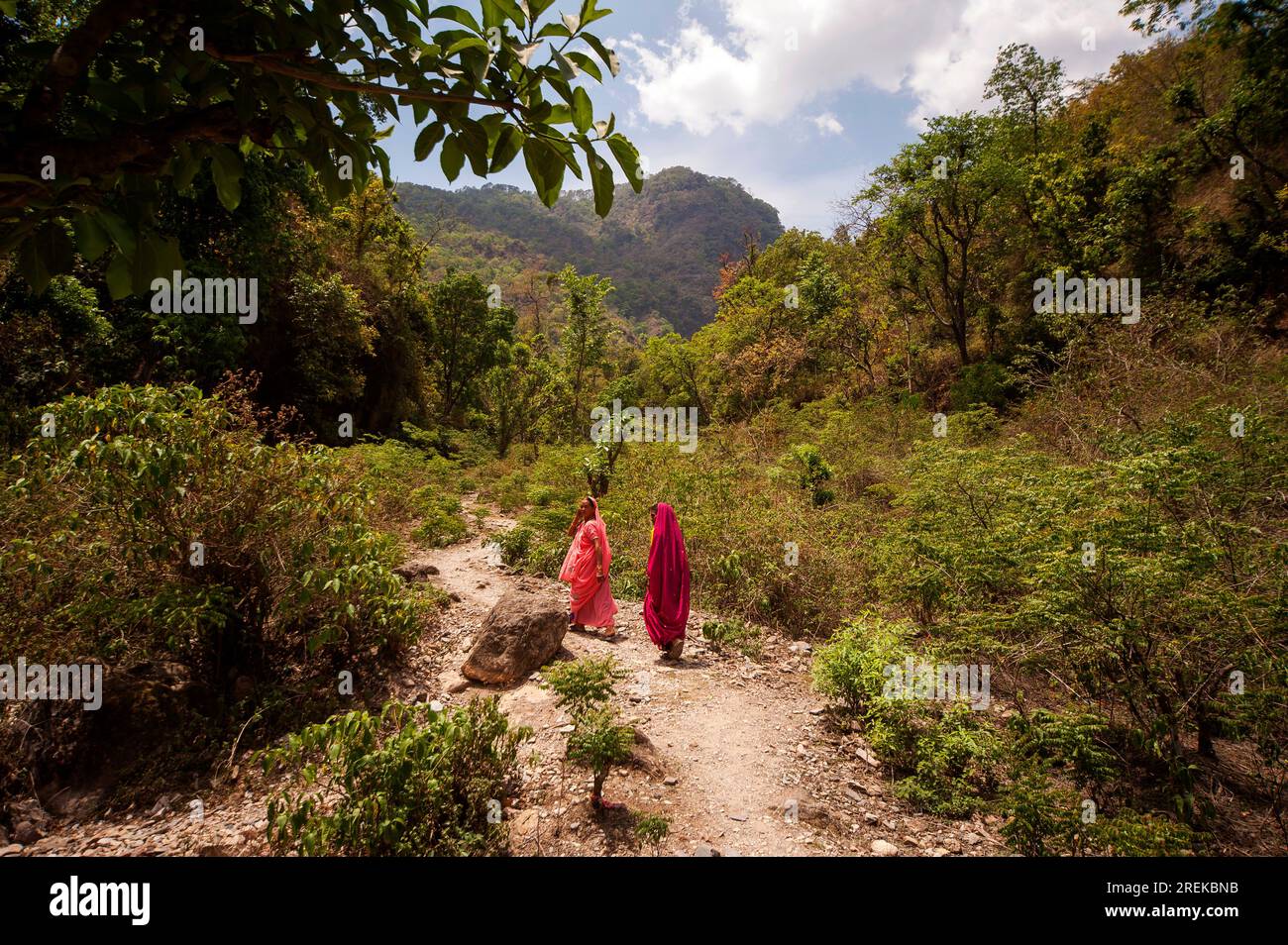 Indian womans in traditional saris walking on the big ravine at Kundal ...