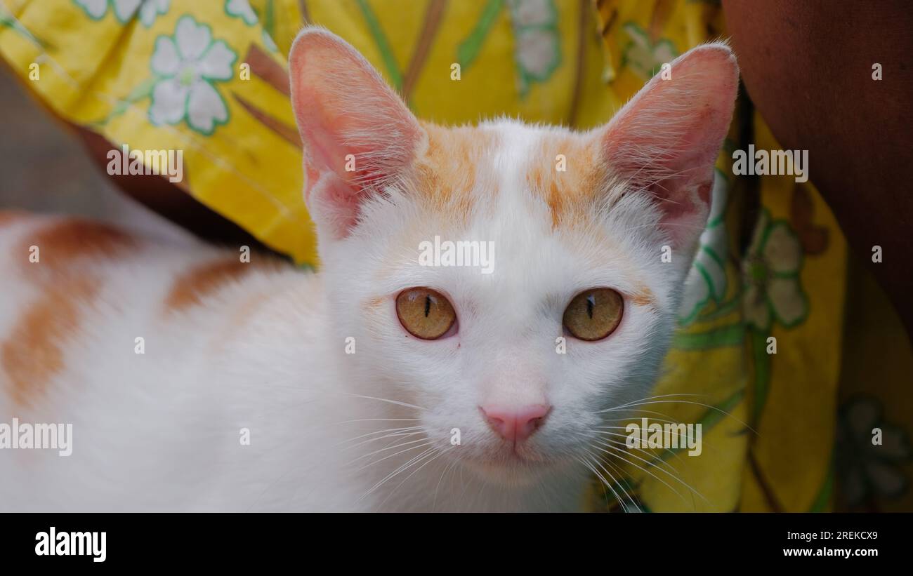 The oldest Chinatown in the world. Apart from its historical importance ...