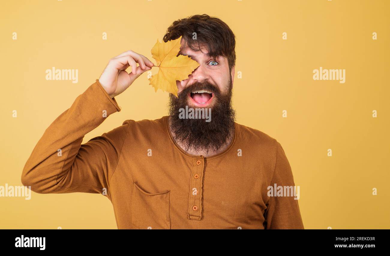 Autumn male model. Happy bearded man covered eye with maple leaf ...