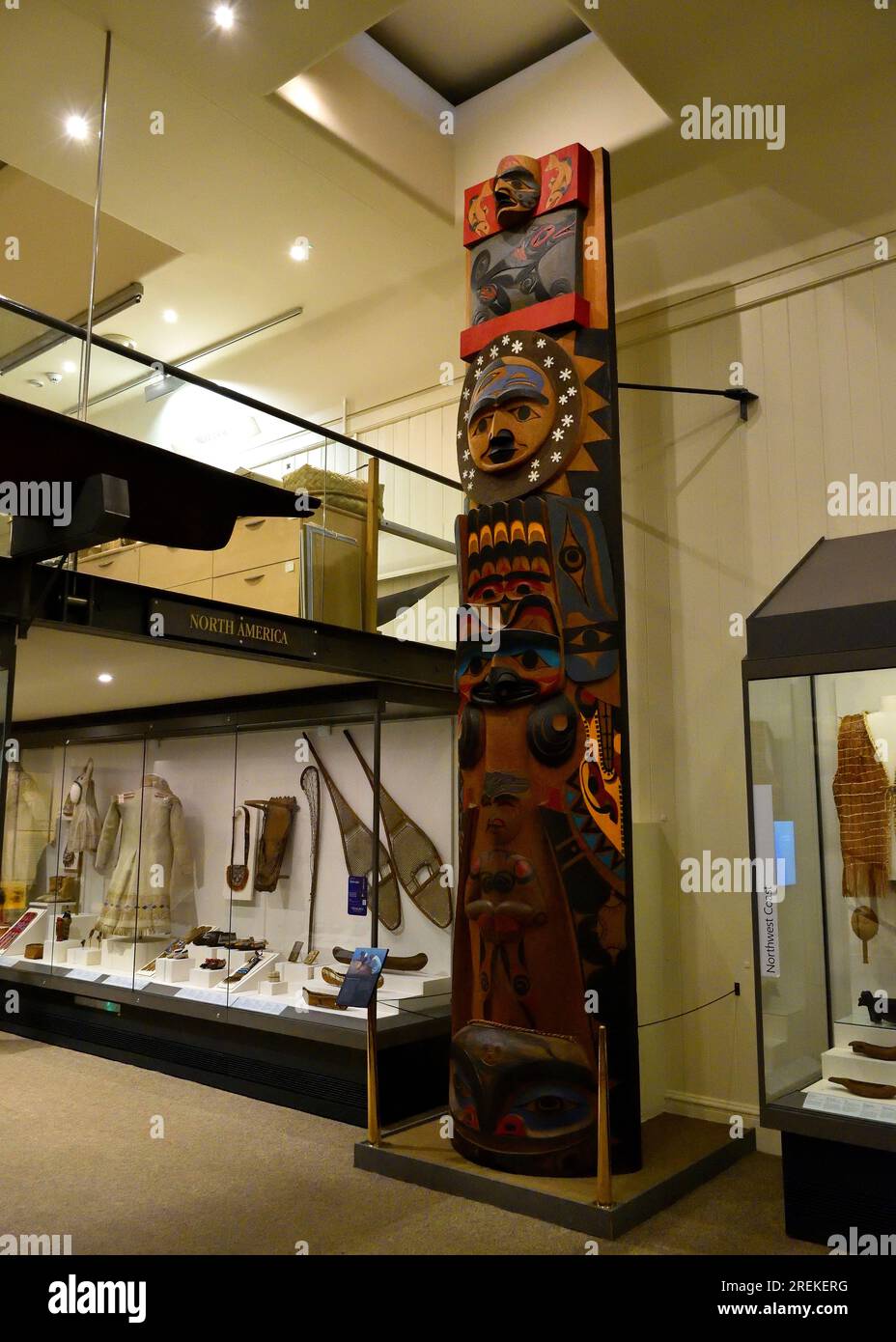 The Royal Albert Memorial Museum in Exeter Stock Photo - Alamy